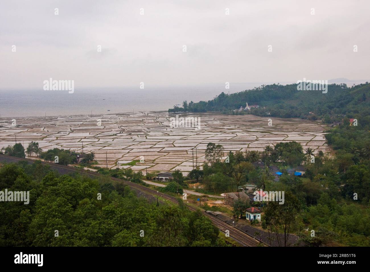 Rice field. Da Nang. Vietnam Stock Photo - Alamy