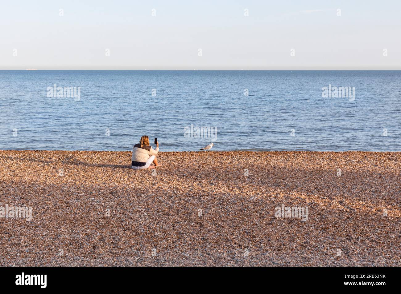 A lady on a shingle beach by a calm sea photographing a seagull with ...