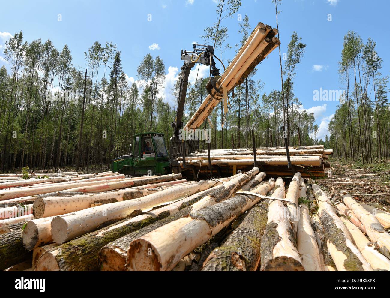 Logging at the enterprise of the timber holding "Segezha Group" Timber ...