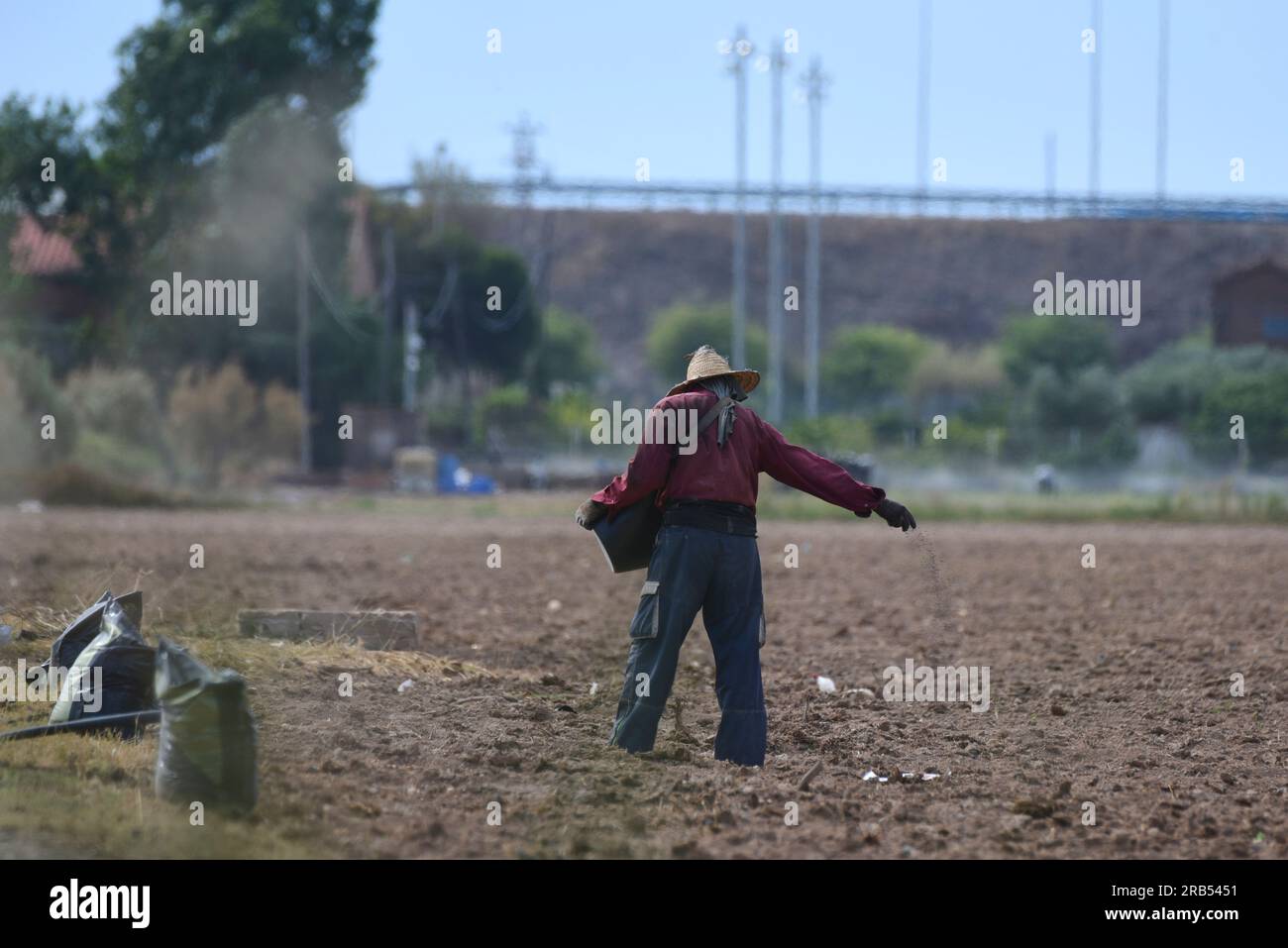 Seed orchard hi-res stock photography and images - Alamy