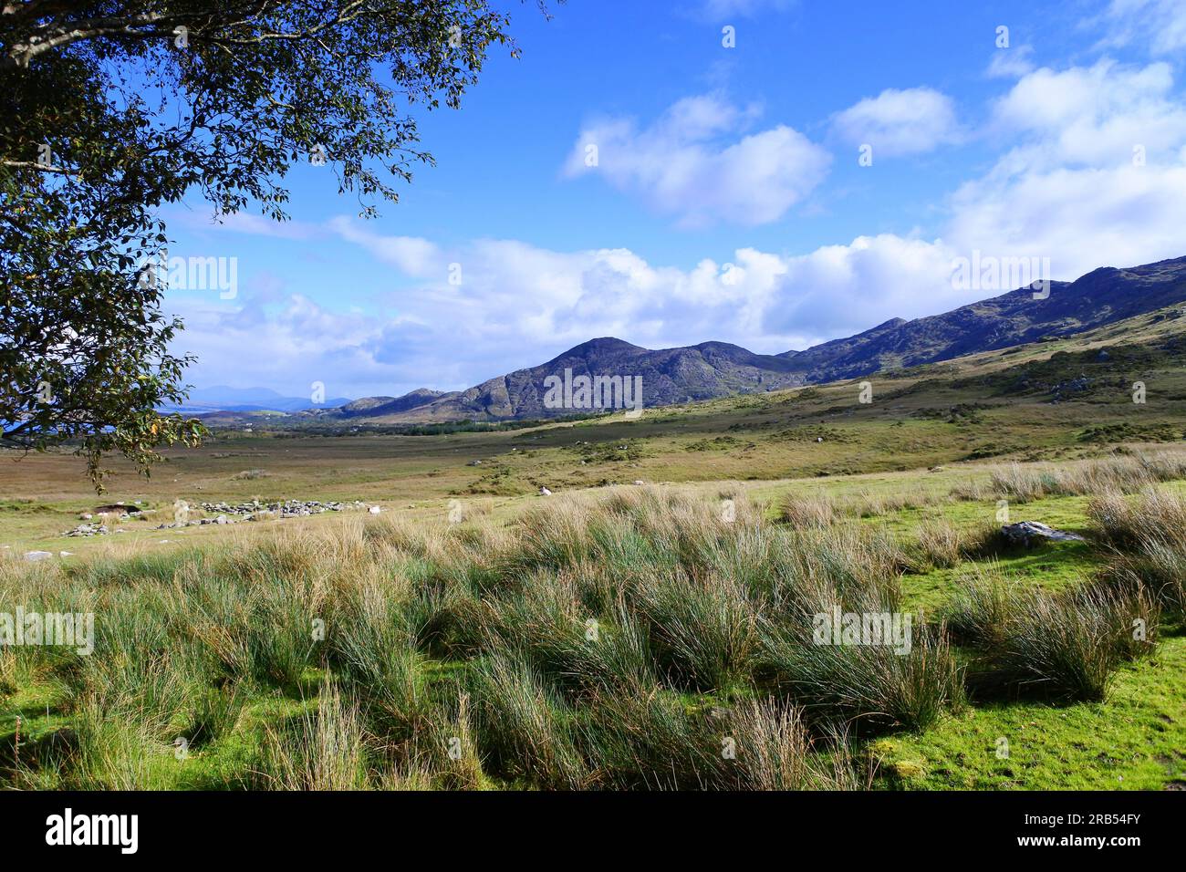 Caha mountains south of Ardgroom on the Beara Peninsula, County Cork ...