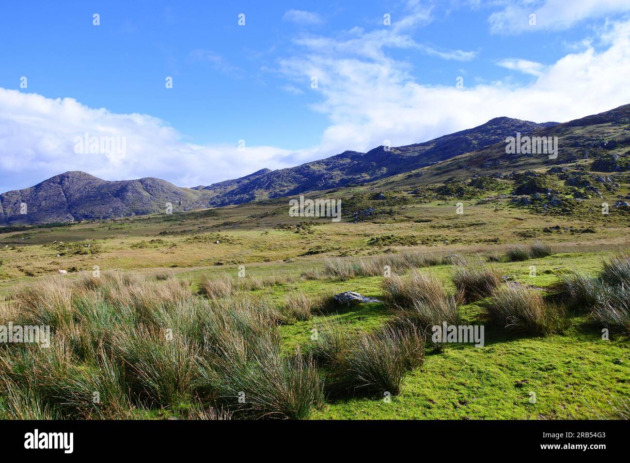 Caha mountains south of Ardgroom on the Beara Peninsula, County Cork ...
