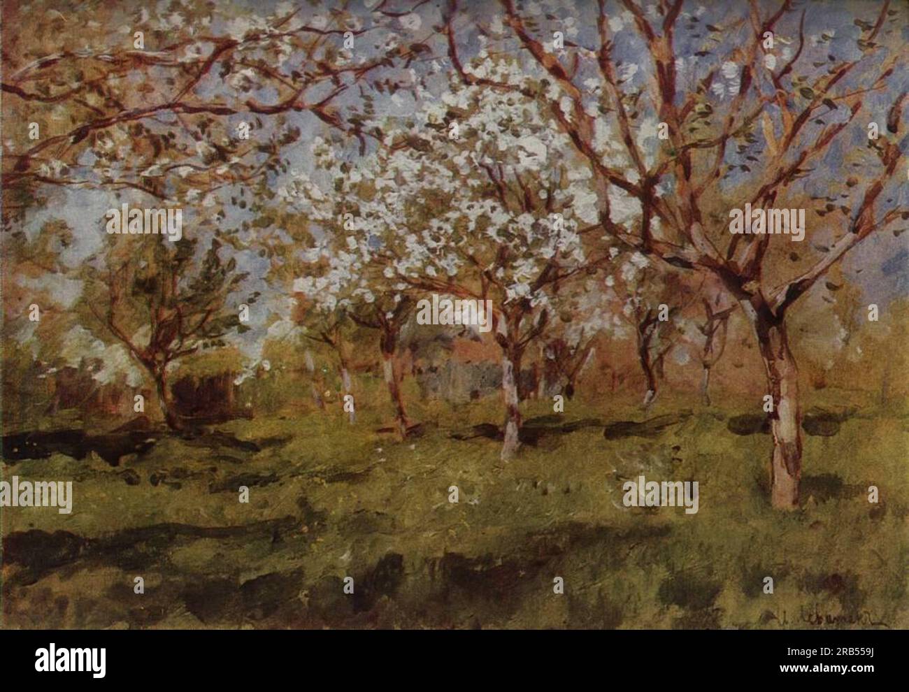 Apple trees in blossom 1896; Russian Federation by Isaac Levitan Stock ...