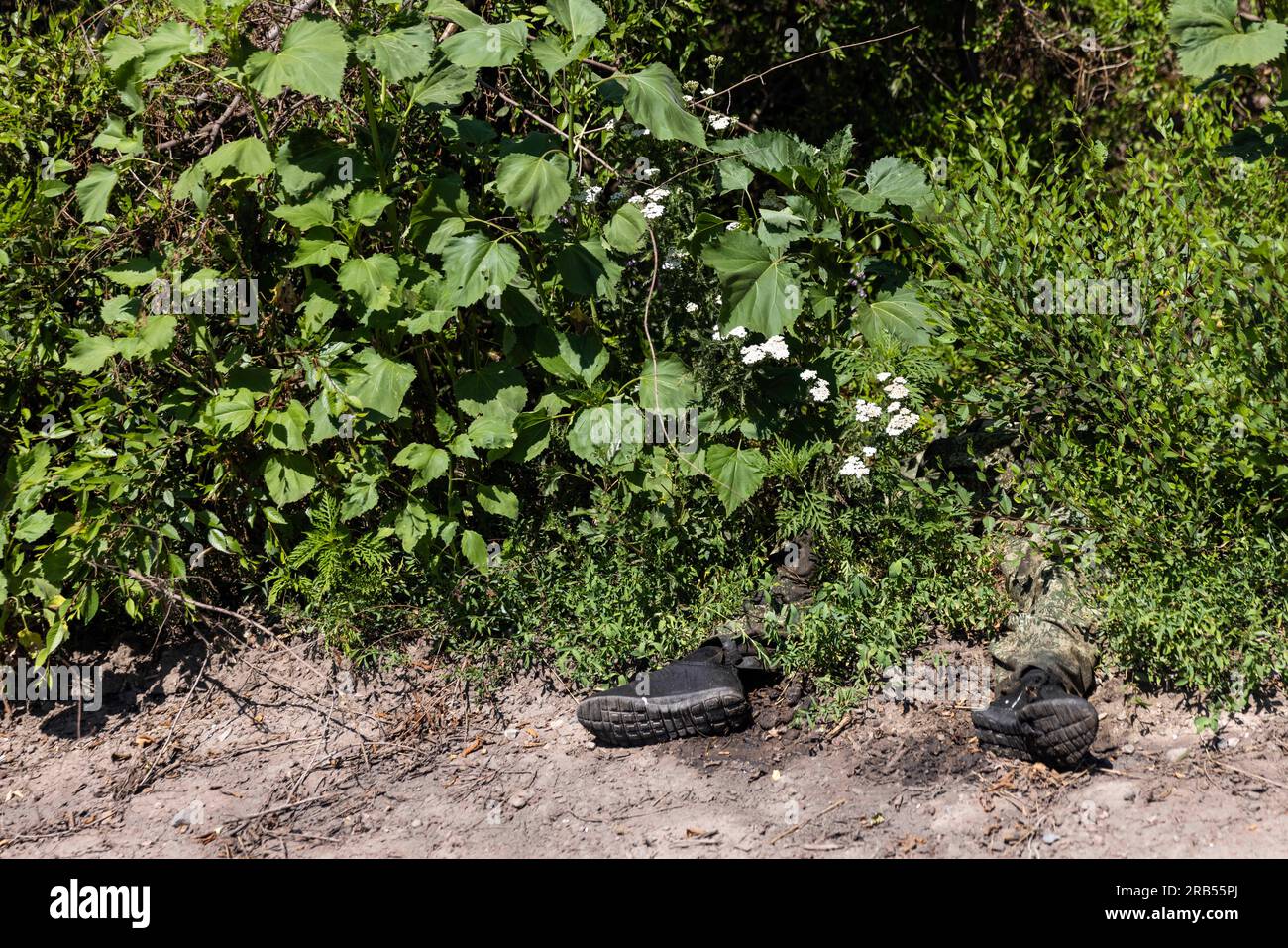 Captured russian artillery hi-res stock photography and images - Alamy