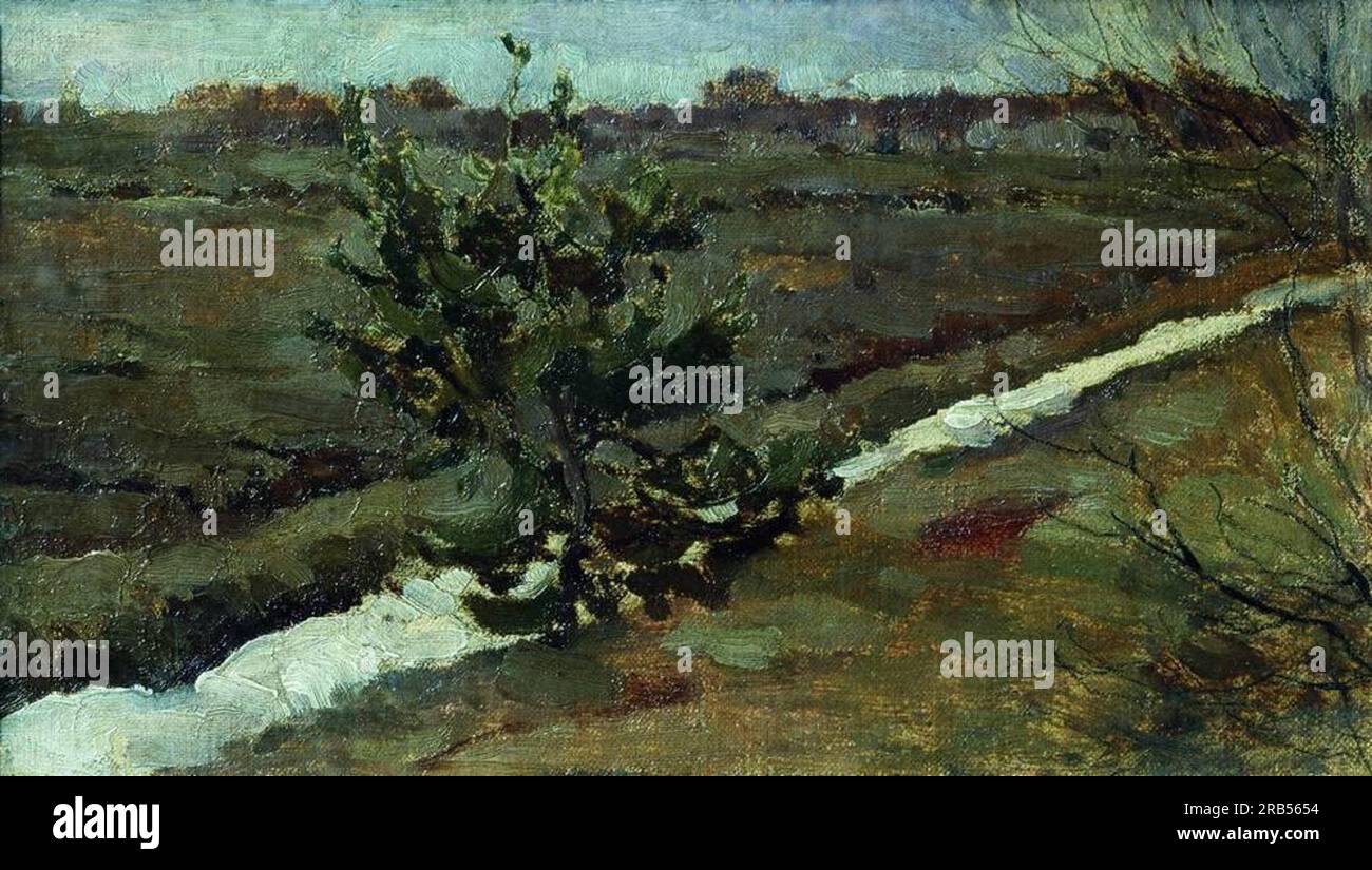 Early spring. A young pine tree. by Isaac Levitan Stock Photo - Alamy