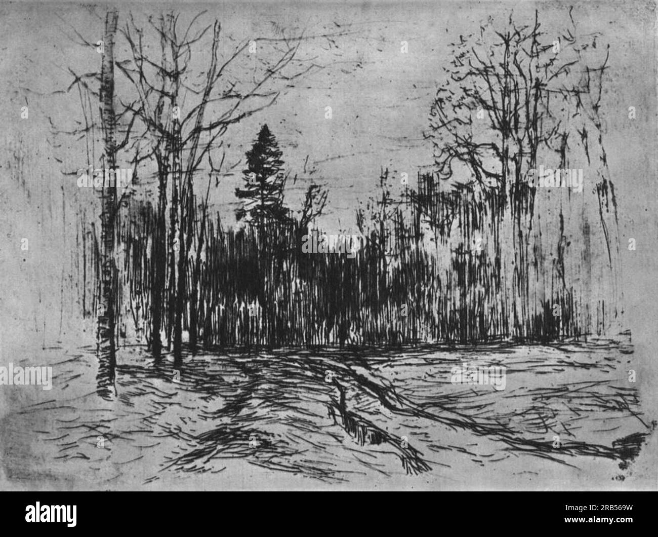 Path in the forest c.1899; Russian Federation by Isaac Levitan Stock ...
