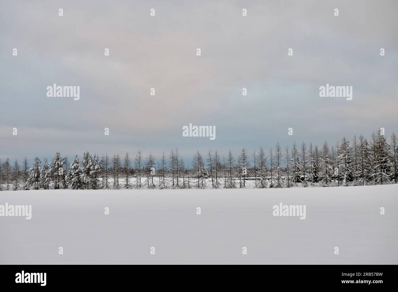 Minimalistic winter landscape over the empty flat snow field with the ...