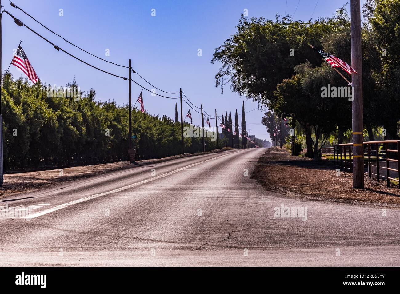 A long line of American flags on utility poles on a rural road in ...