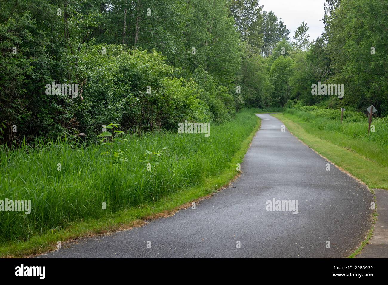 The Centennial Trail in WA on a rainy spring day Stock Photo - Alamy