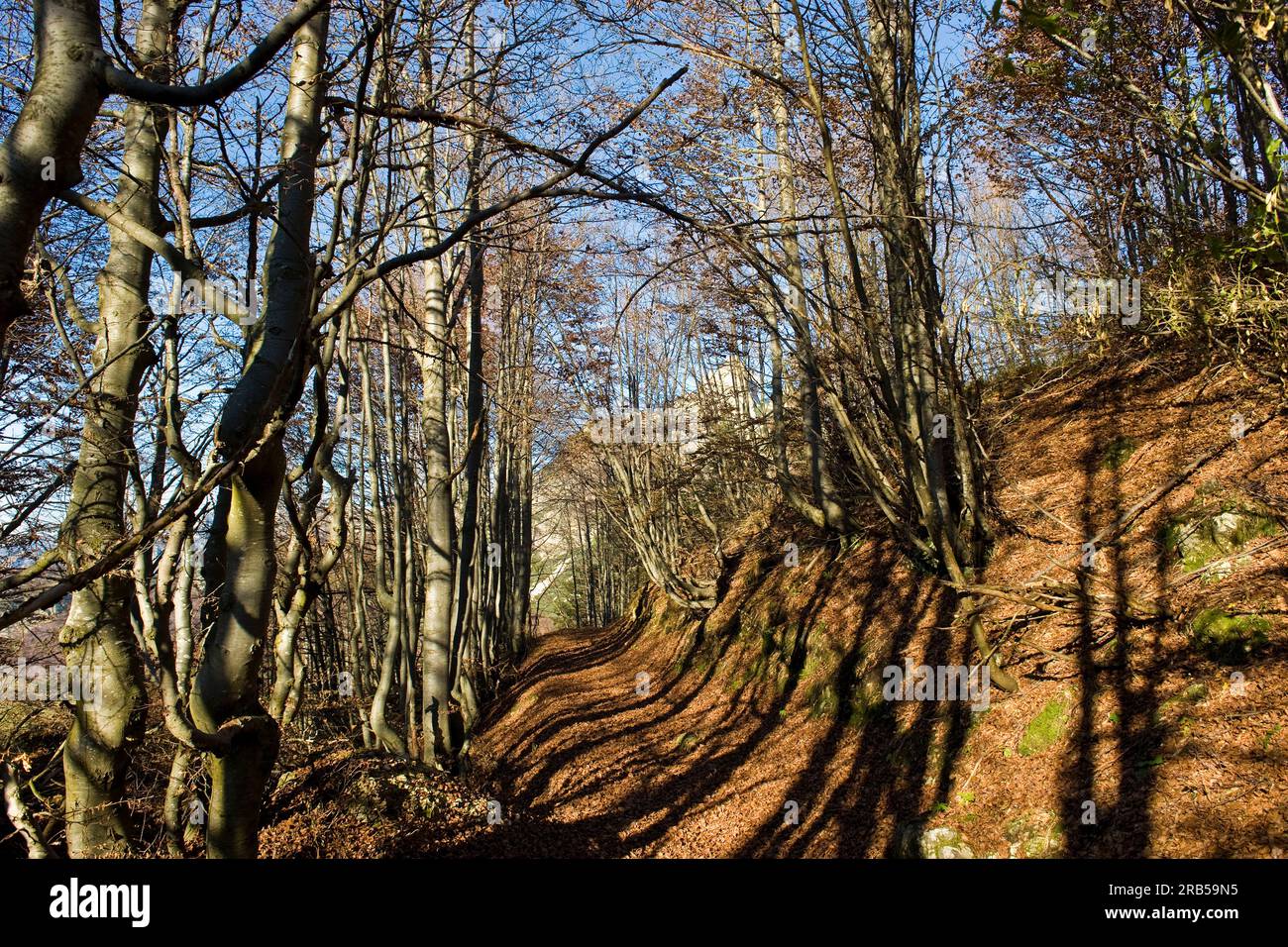 Campogrosso pass. Italy Stock Photo - Alamy