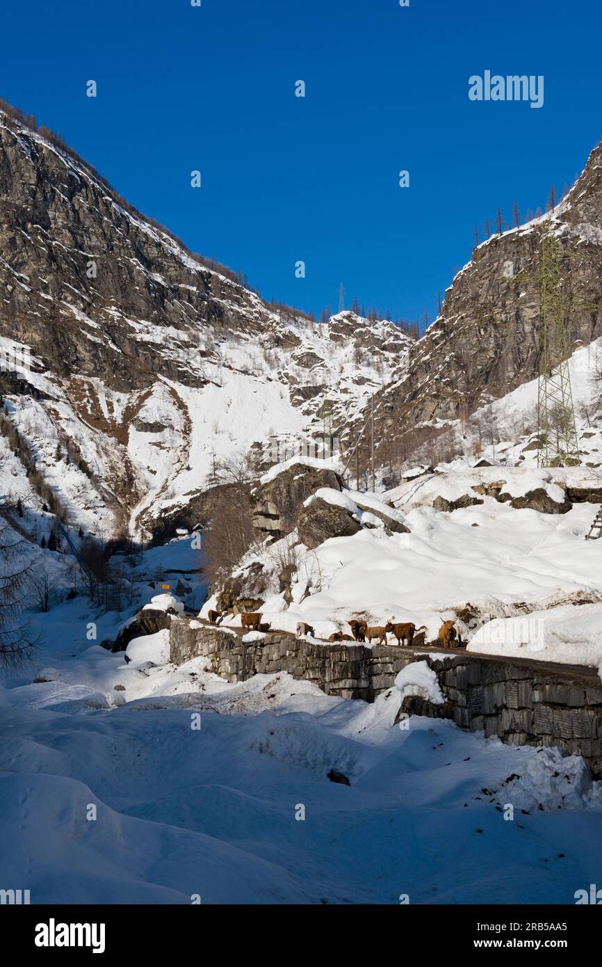 Val peccia hi-res stock photography and images - Alamy
