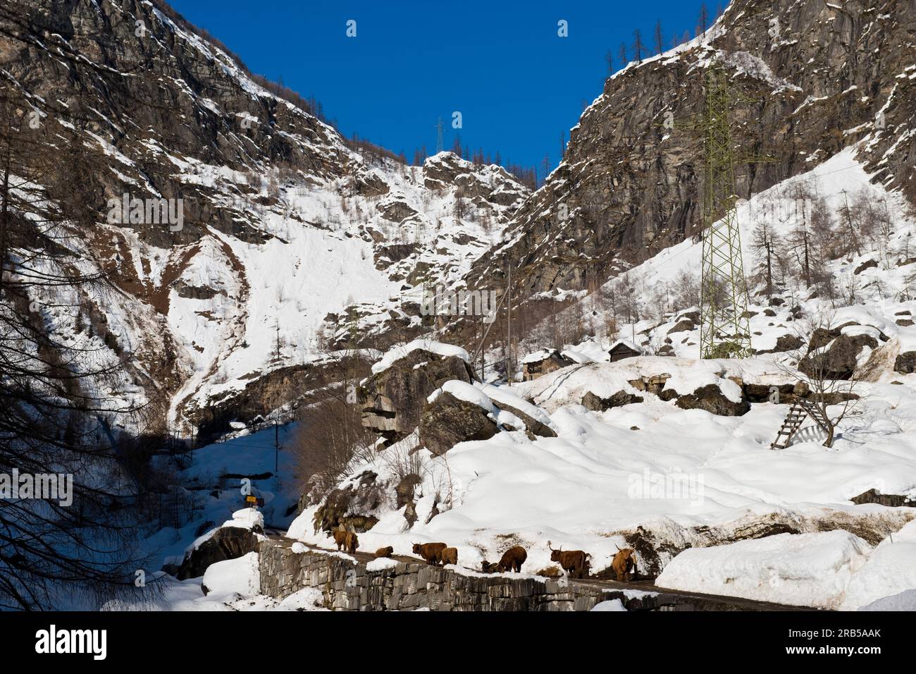 Val peccia hi-res stock photography and images - Alamy
