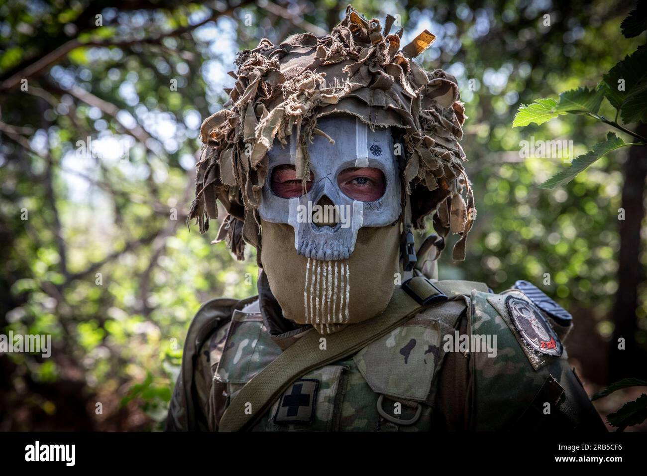 Viking from the 110th Territorial Defense Brigade seen posing for a ...