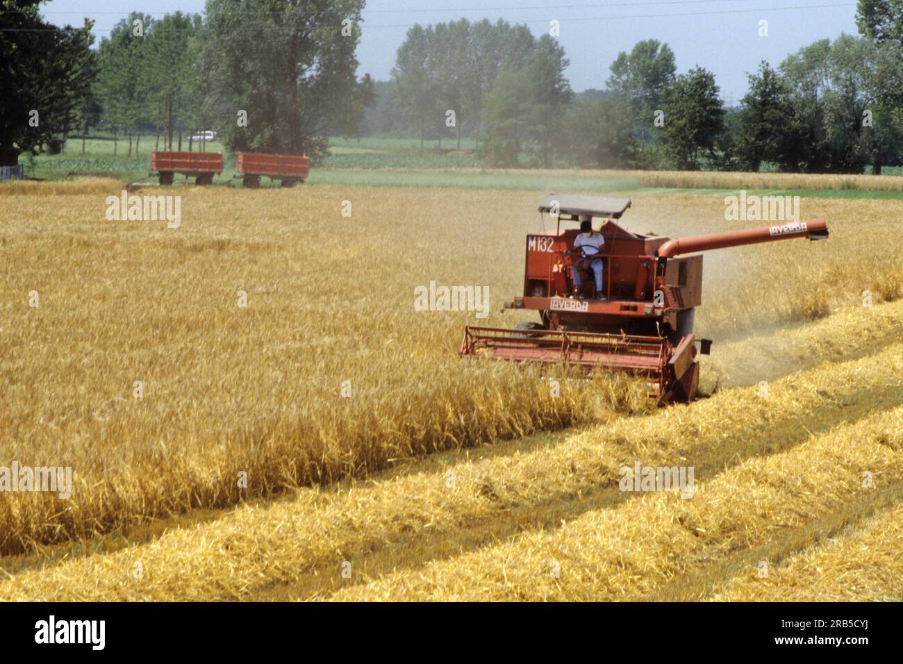 Agriculture harvest farmers reaping hi-res stock photography and images - Alamy