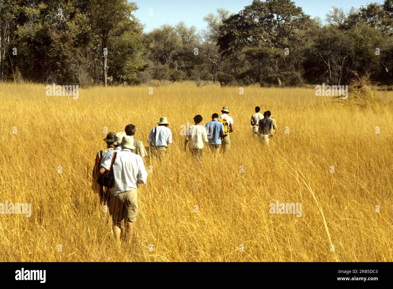 Trekking. Okawango. Botswana. Africa Stock Photo - Alamy
