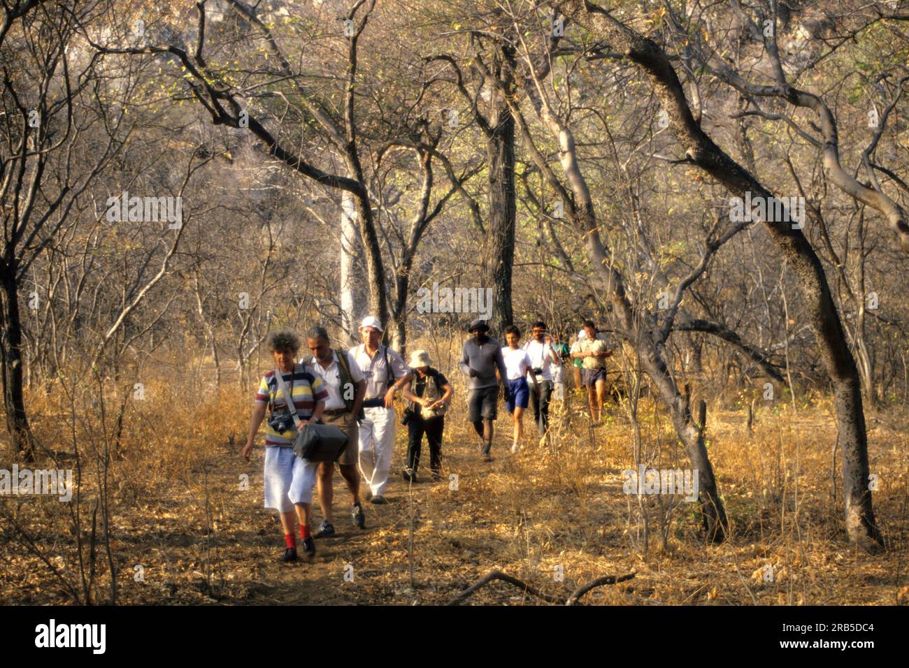 Trekking. Okawango. Botswana. Africa Stock Photo - Alamy
