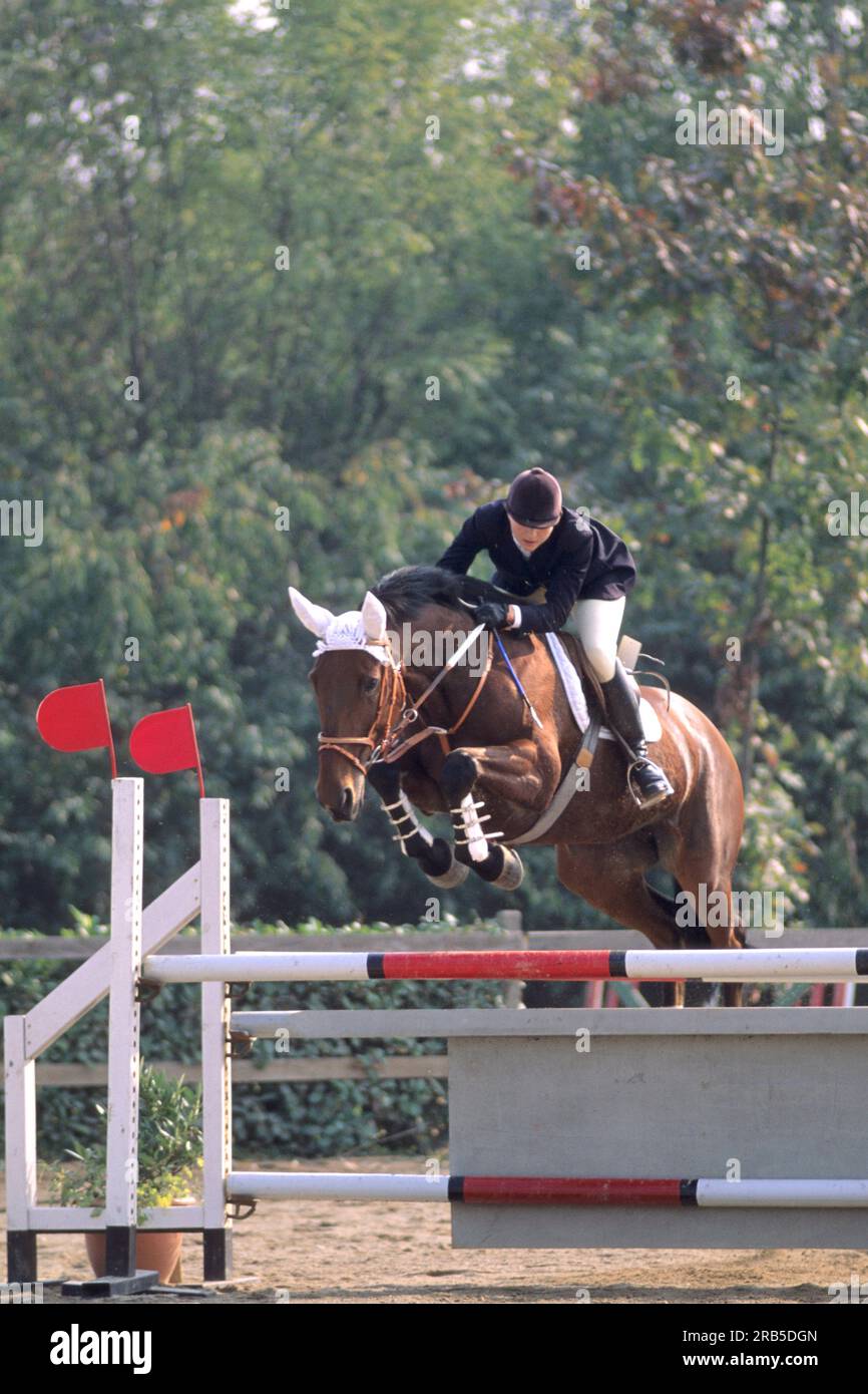 Horse racing and obstacles hi-res stock photography and images - Alamy