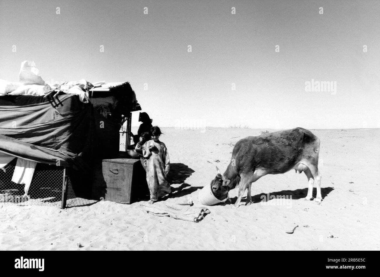 Peninsula arabian Black and White Stock Photos & Images - Alamy