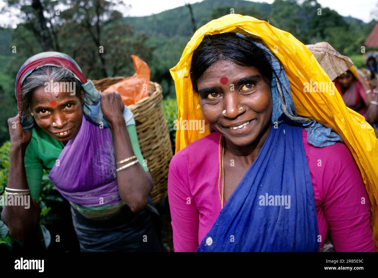 Bindi of women hi-res stock photography and images - Alamy