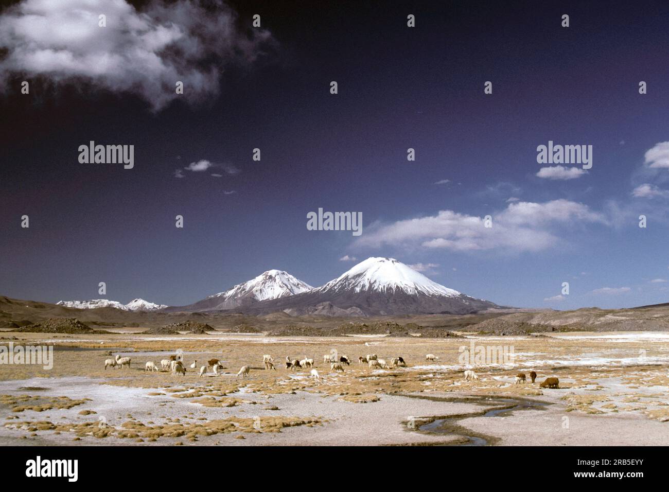 Vulcano los angeles 1997 hi-res stock photography and images - Alamy Vulcano los angeles 1997 hi-res stock photography and images - Alamy
