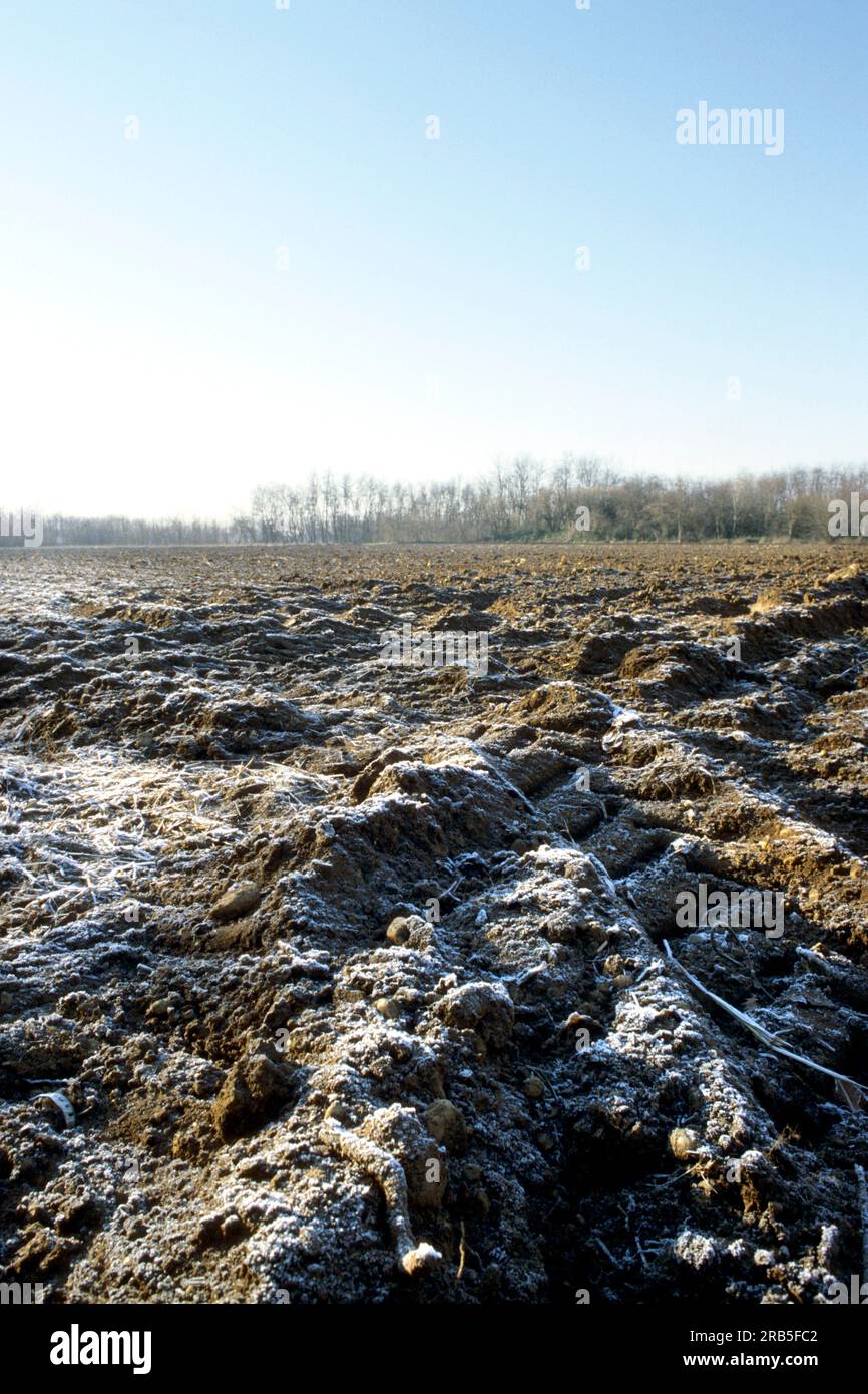 Area parco hi-res stock photography and images - Alamy