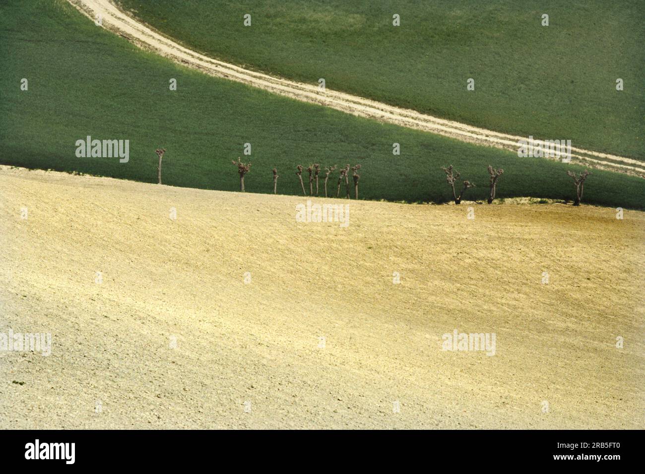 Pavese hi-res stock photography and images - Alamy