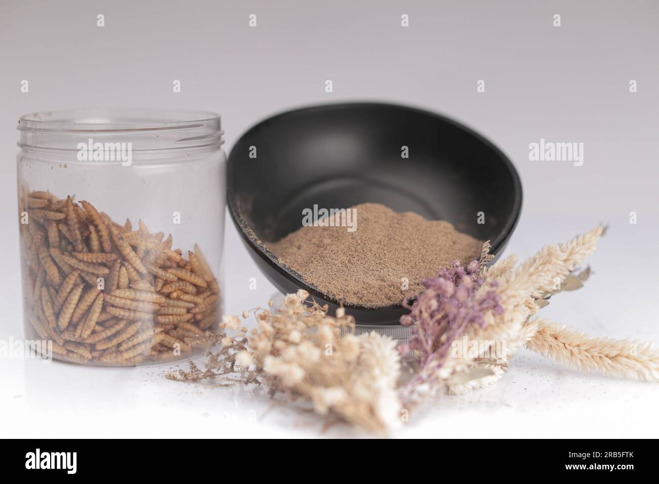 Maggot Black Soldier Fly (BSF) for farm, feed and fisher Stock Photo ...