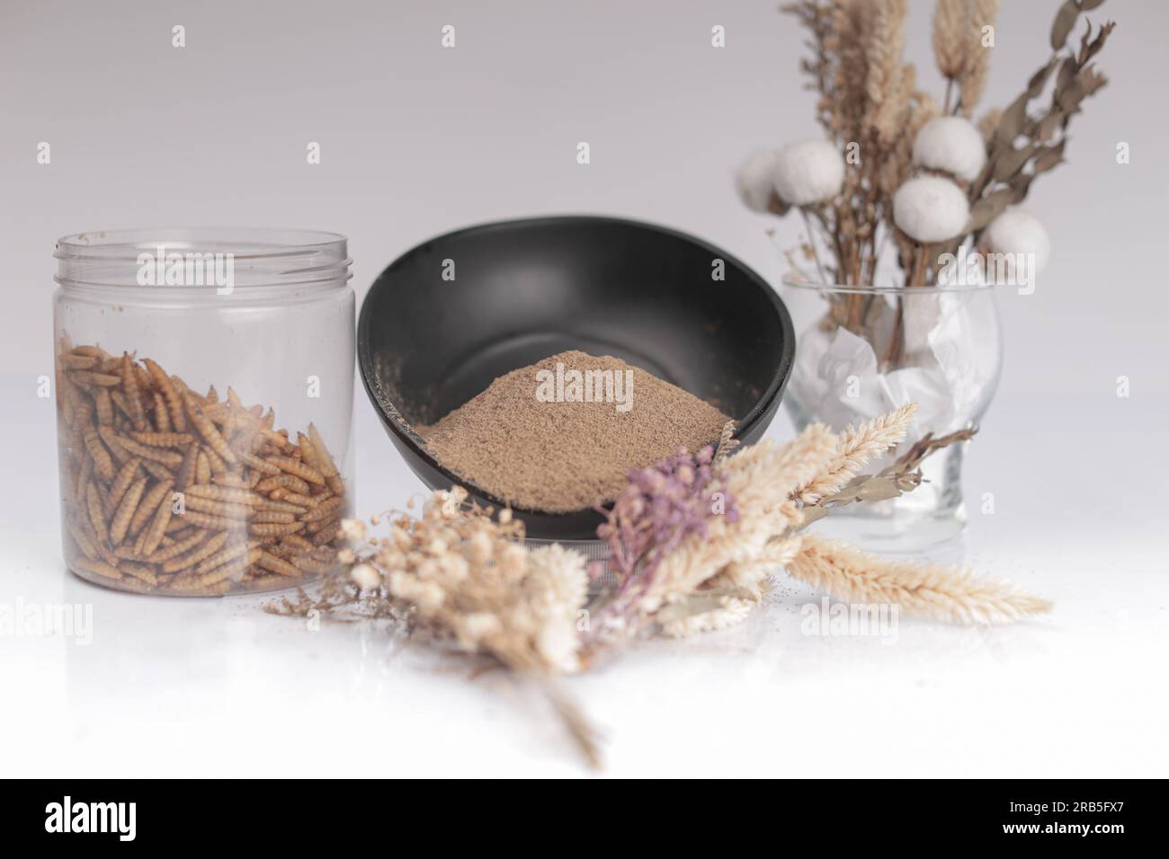 Maggot Black Soldier Fly (BSF) for farm, feed and fisher Stock Photo ...