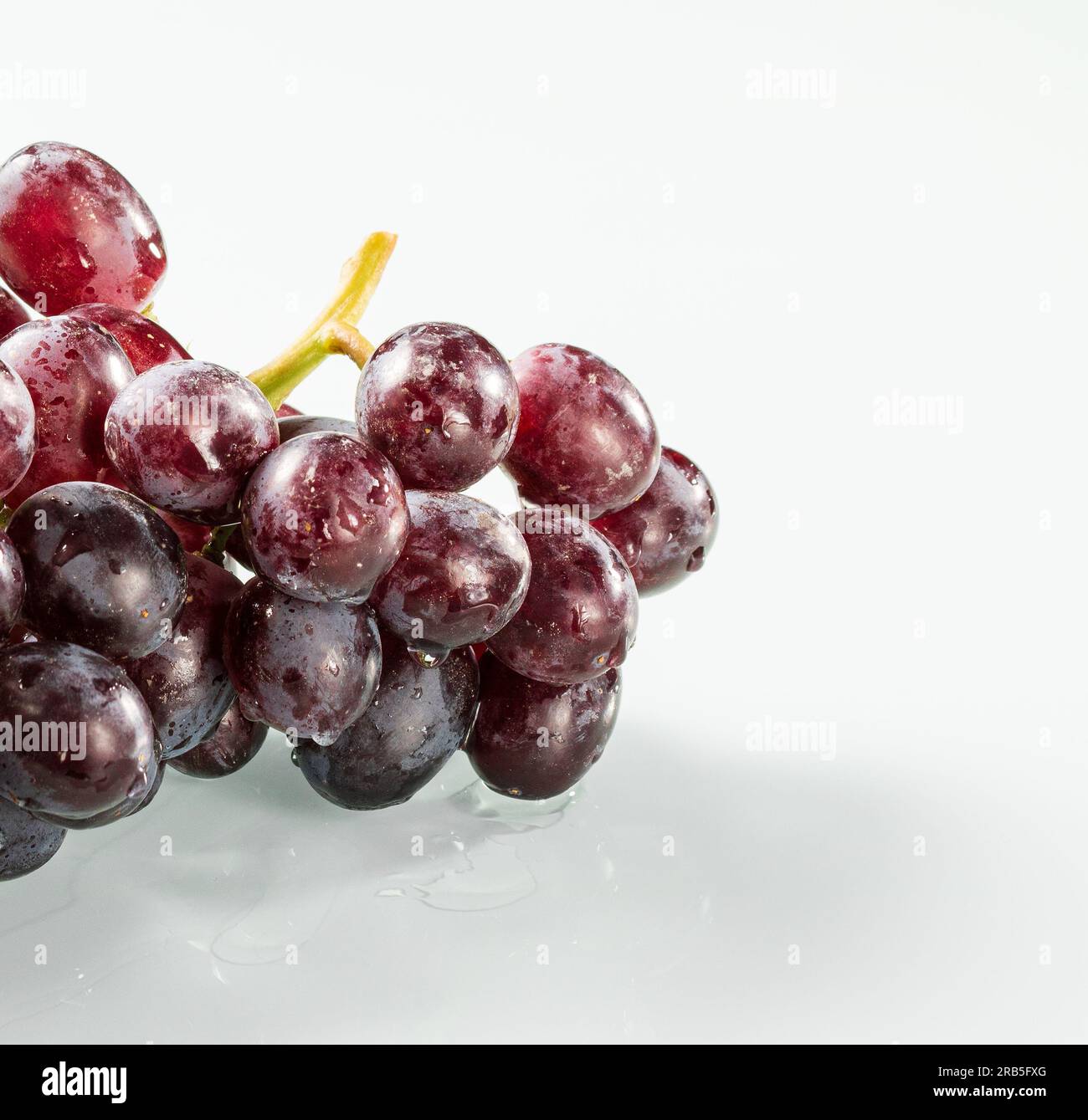 Grapes water hi-res stock photography and images - Alamy