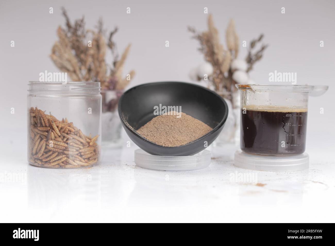 Maggot Black Soldier Fly (BSF) for farm, feed and fisher Stock Photo ...