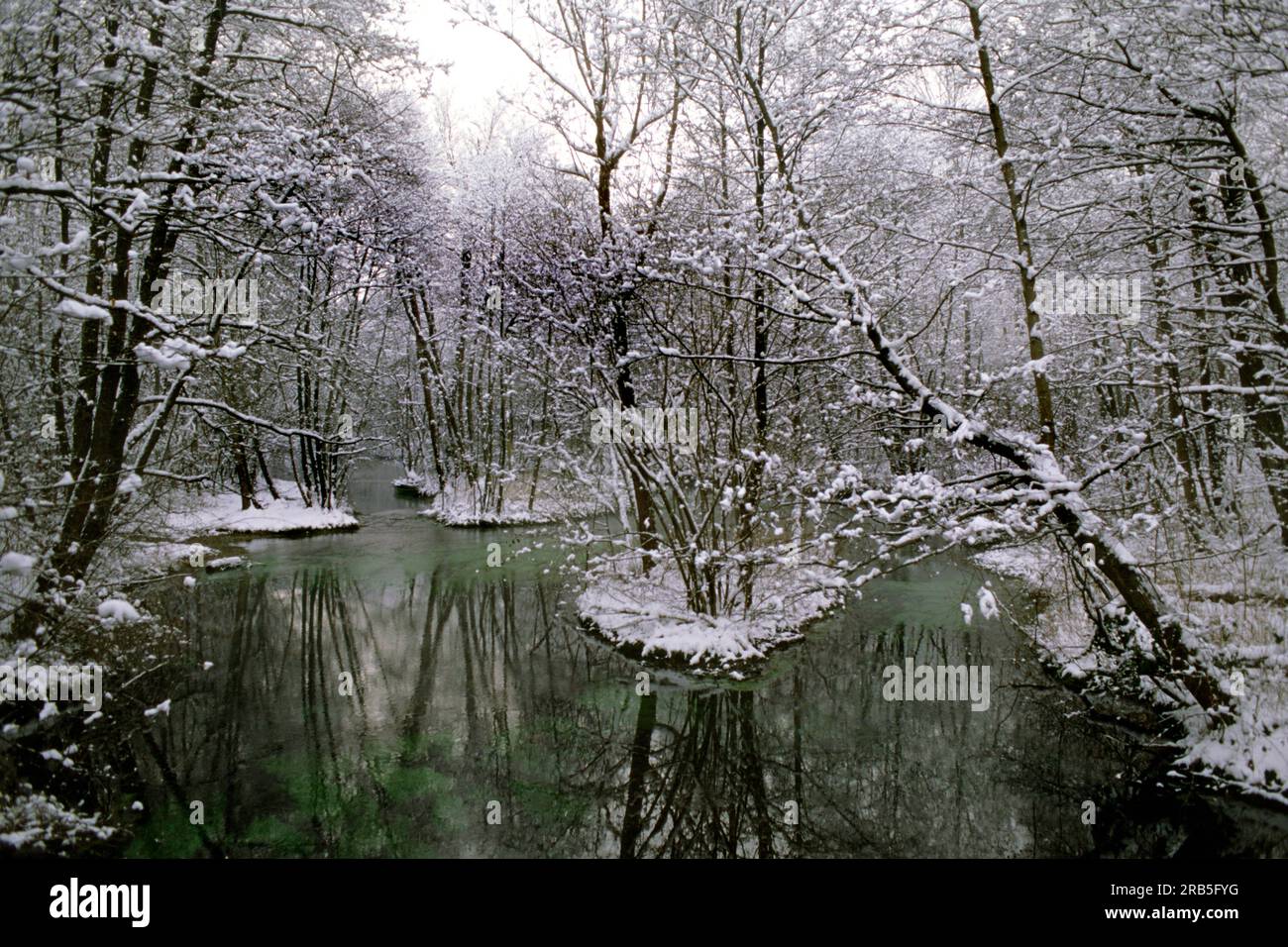 La Fagiana Natural Reserve. Ticino Park. Lombardia. Italy Stock Photo ...