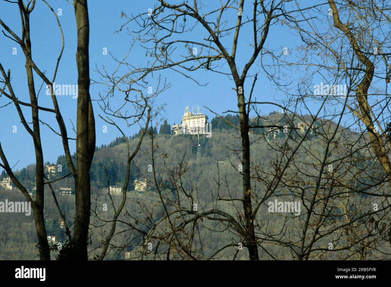 Fiori da campo hi-res stock photography and images - Alamy