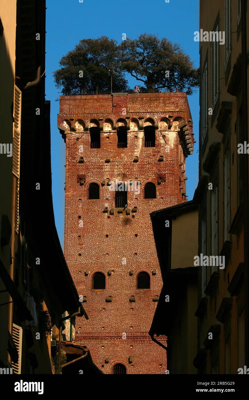 The Guinigi tower, Lucca, Tuscany, Italy Stock Photo - Alamy