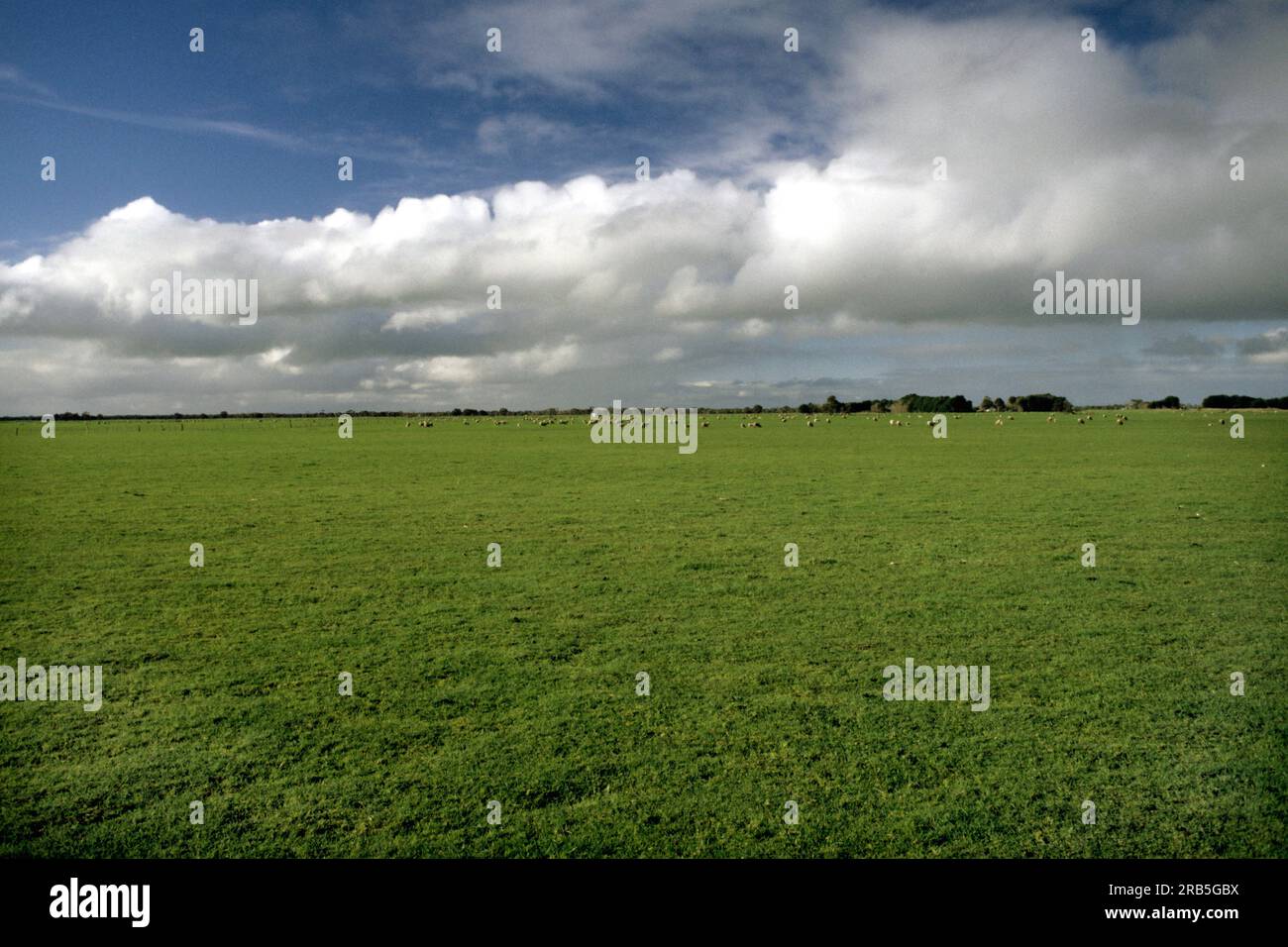 Countryside Near Adelaide. Australia Stock Photo - Alamy
