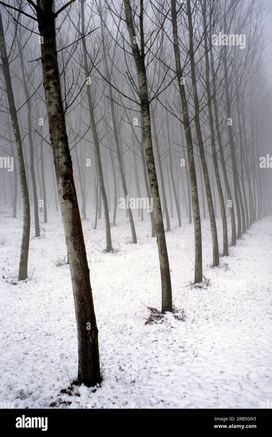 Covered in haze hi-res stock photography and images - Alamy