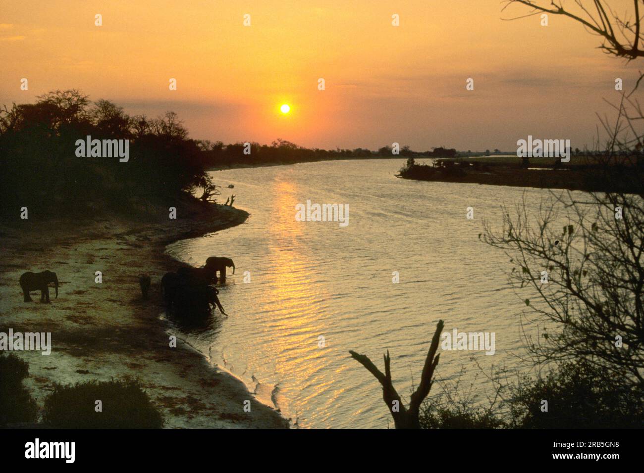 Okawango. Botswana. Africa Stock Photo - Alamy