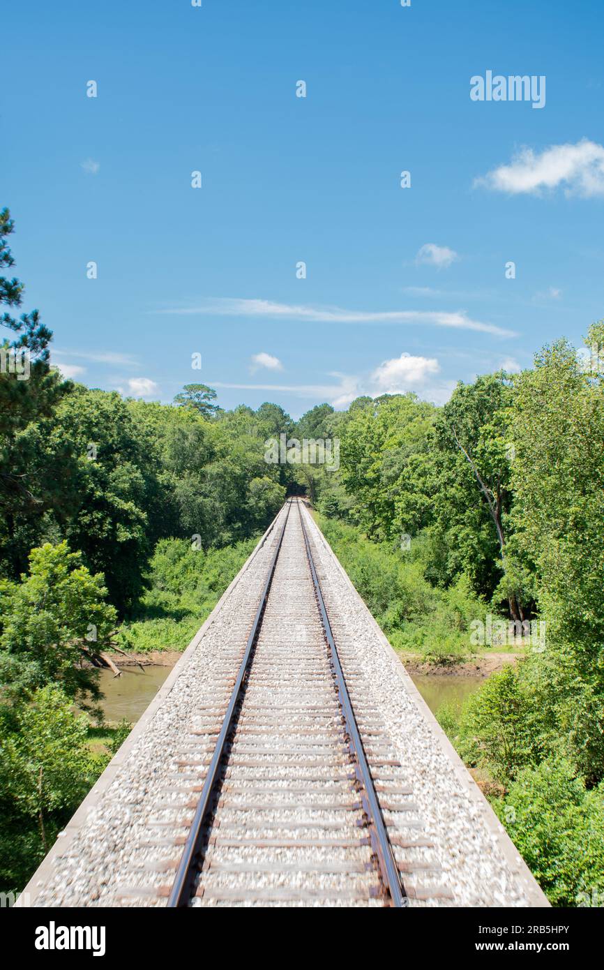 Open road bridge sunny trees hi-res stock photography and images - Alamy