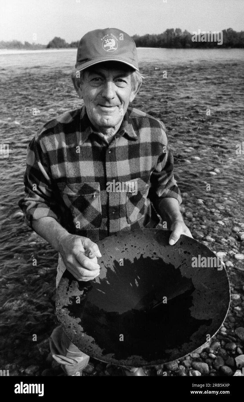 europe, italy, lombardia, ticino park, gold digger Stock Photo - Alamy