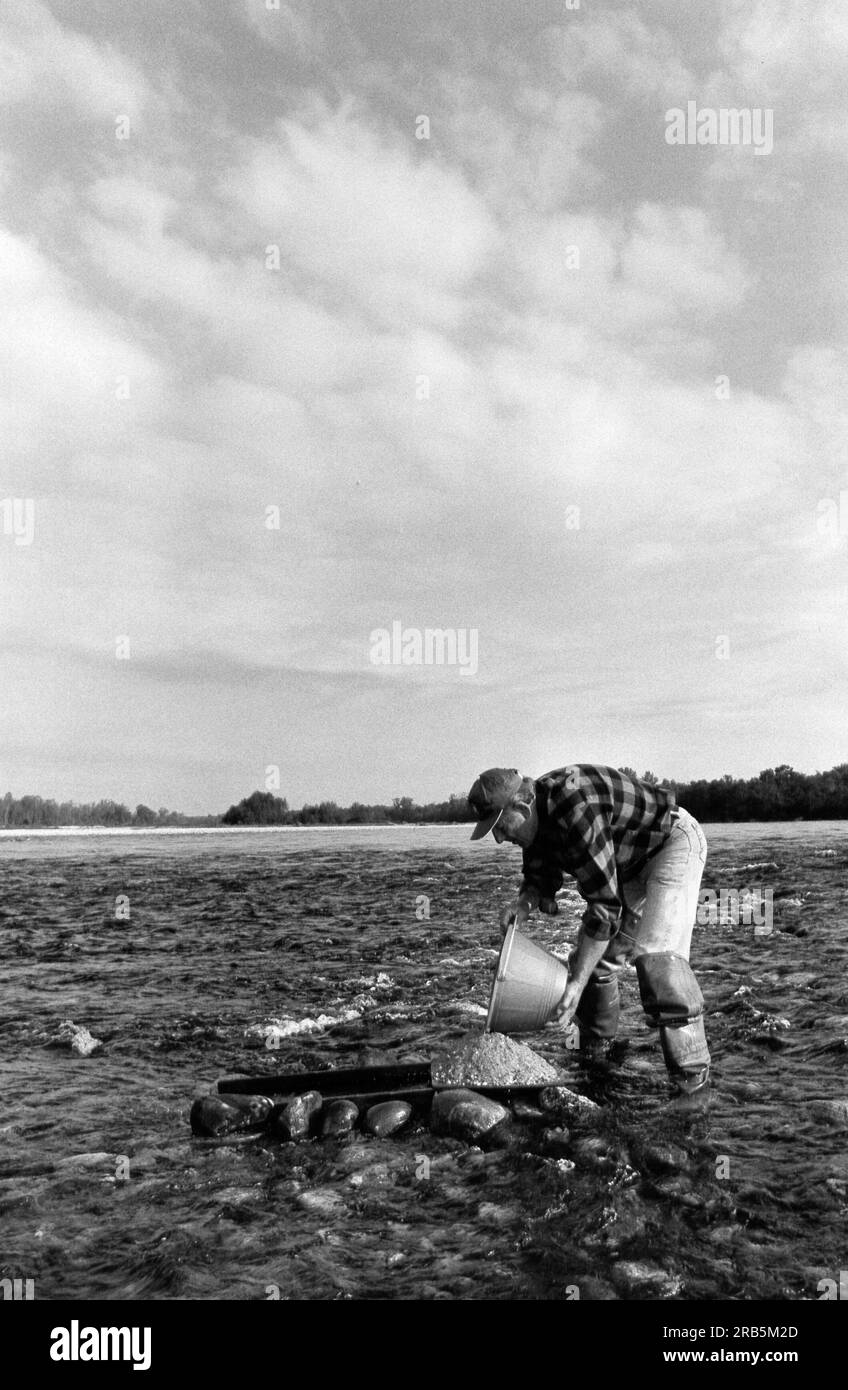 Gold digger hi-res stock photography and images - Alamy