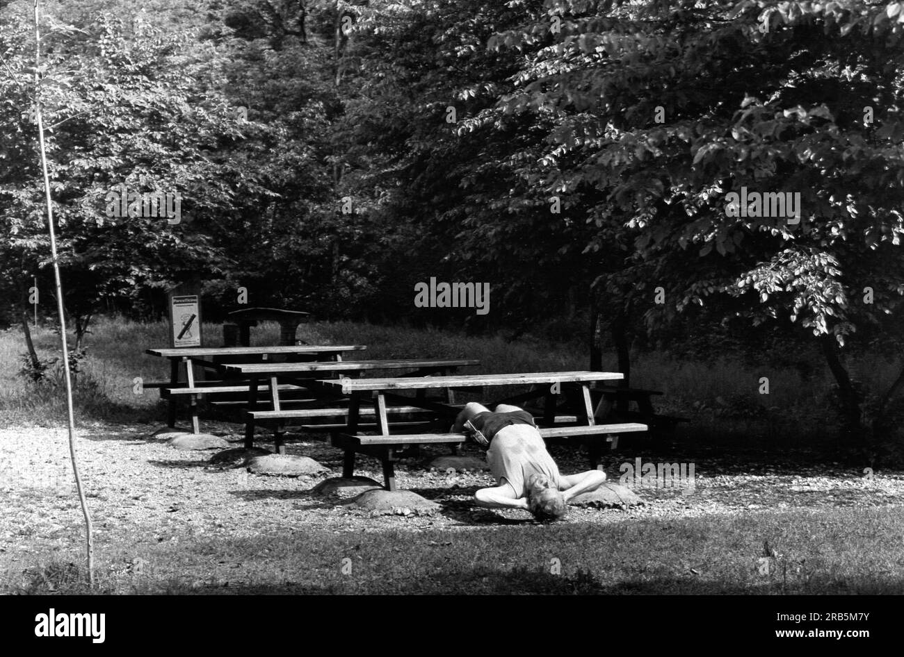 Parco della fagiana hi-res stock photography and images - Alamy