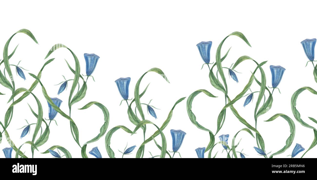 Abstract beautiful bluebells on white background. Seamless border with ...