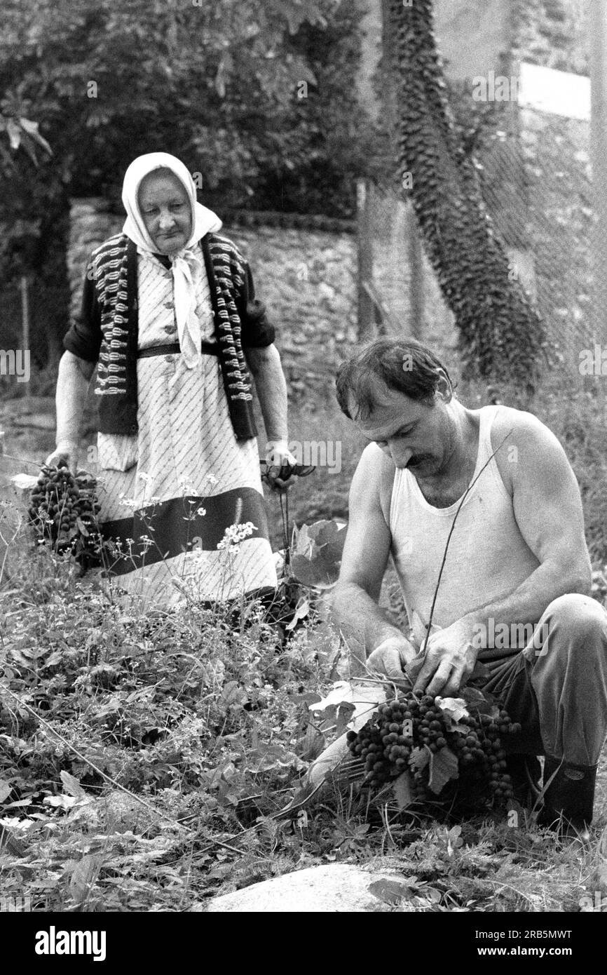 Brianza countryside italy hi-res stock photography and images - Alamy