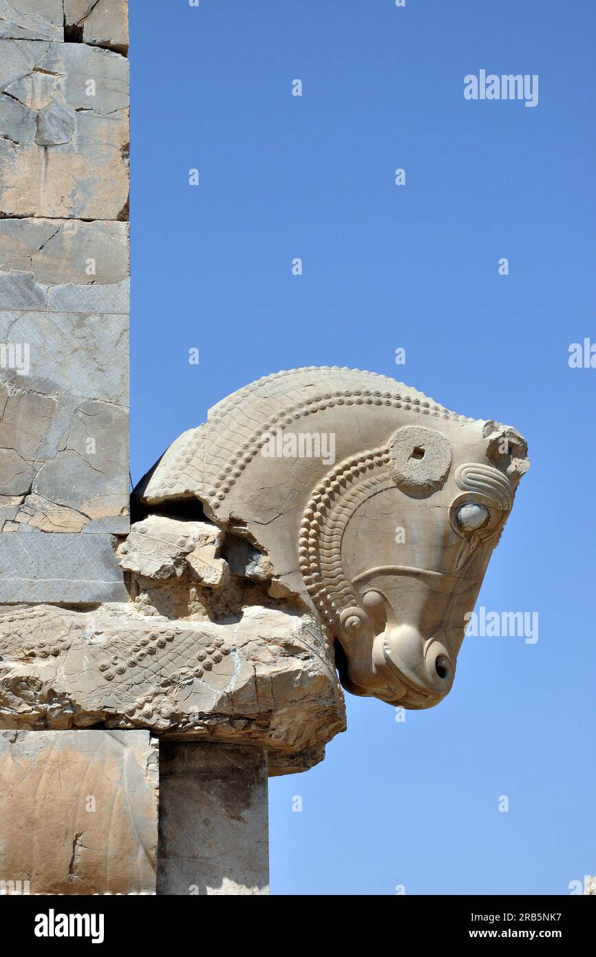 Iran persepolis horse hi-res stock photography and images - Alamy