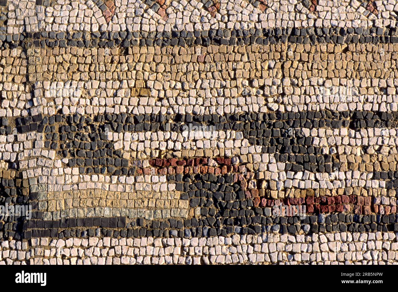 House of The Tetrastyle Atrium. Mosaics. Nora. Sardinia. Italy Stock ...