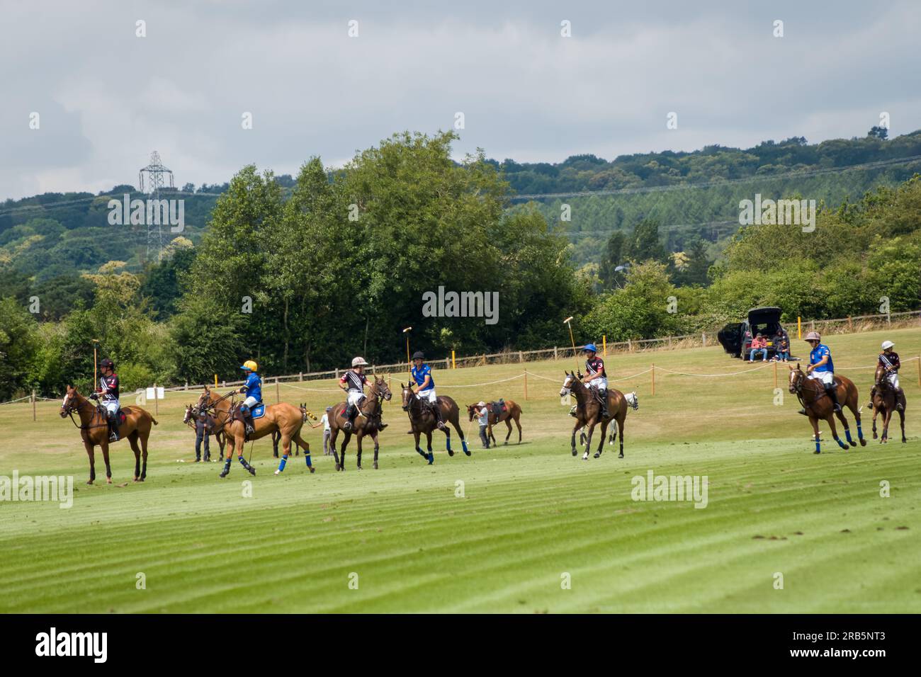 British Open Polo Championship for the Cowdray Gold Cub Park Place ...