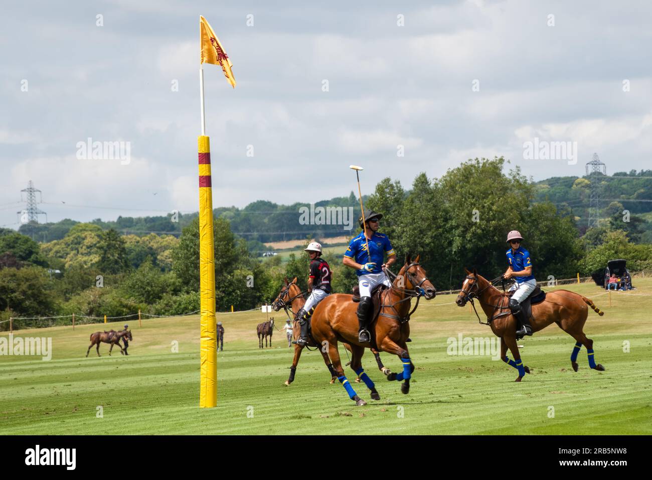 British Open Polo Championship for the Cowdray Gold Cub Park Place ...