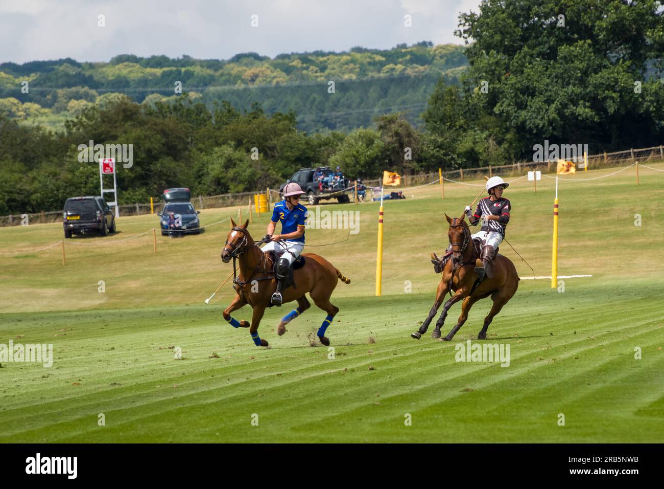 British Open Polo Championship for the Cowdray Gold Cub Park Place ...