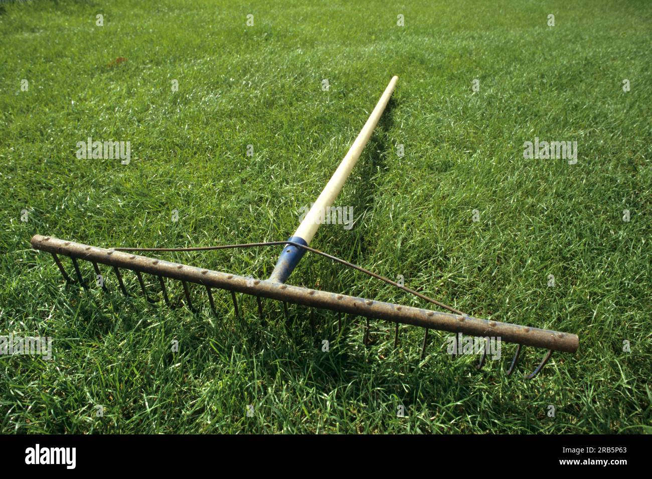 Gardening Tool. Rake Stock Photo - Alamy