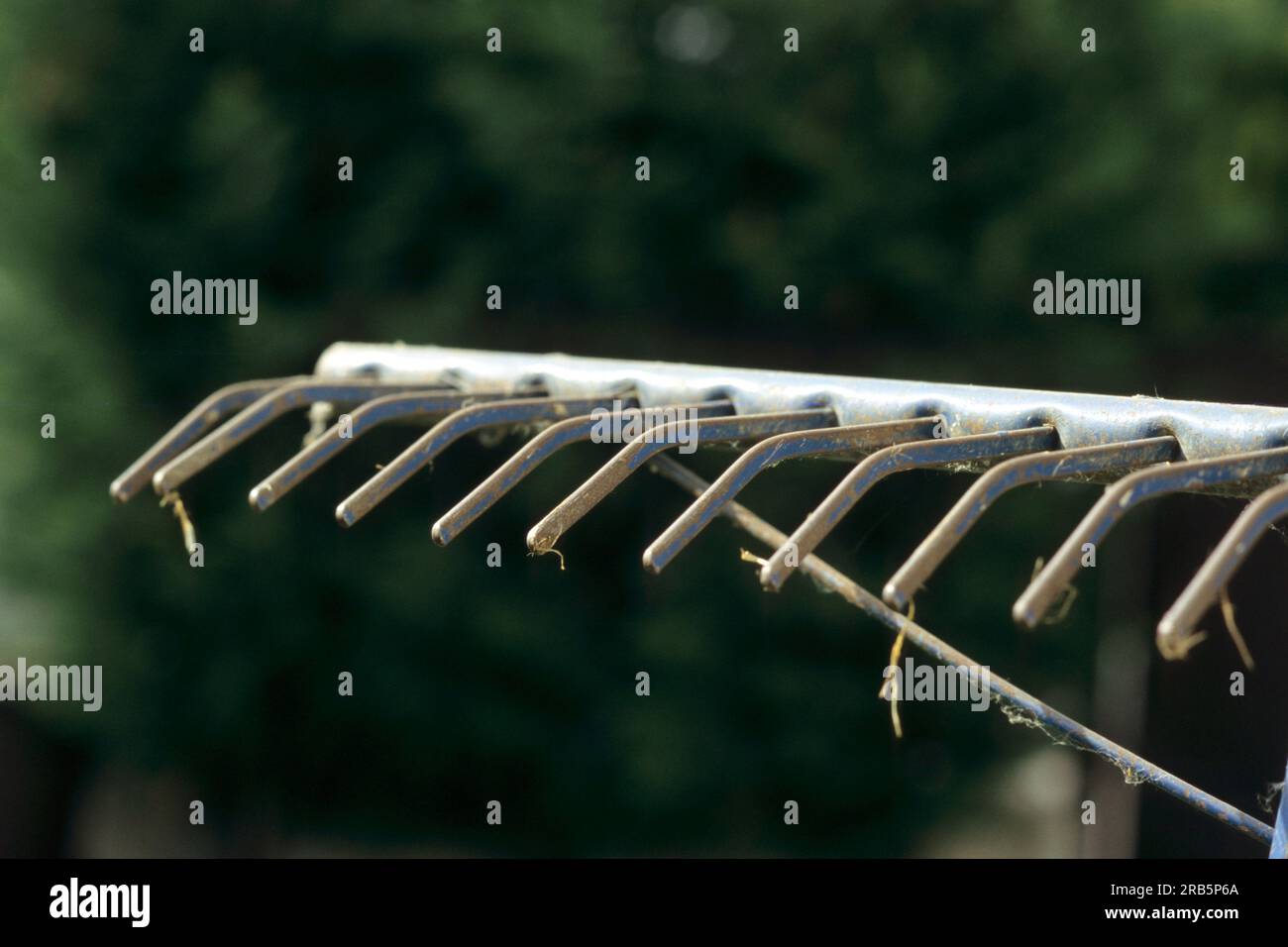 Gardening Tool. Rake Stock Photo - Alamy