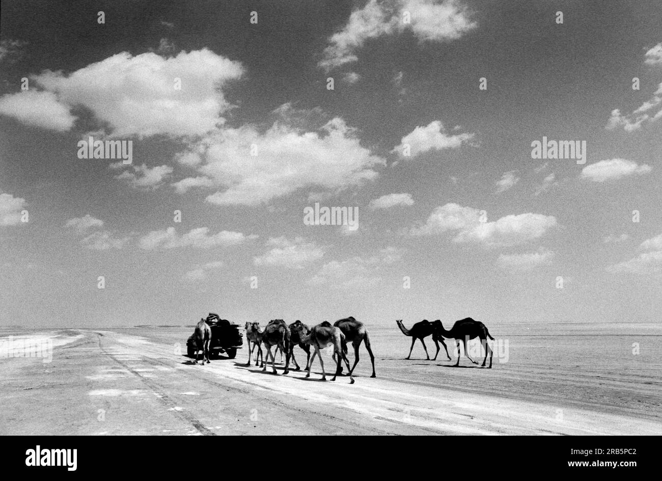 Peninsula arabian Black and White Stock Photos & Images - Alamy